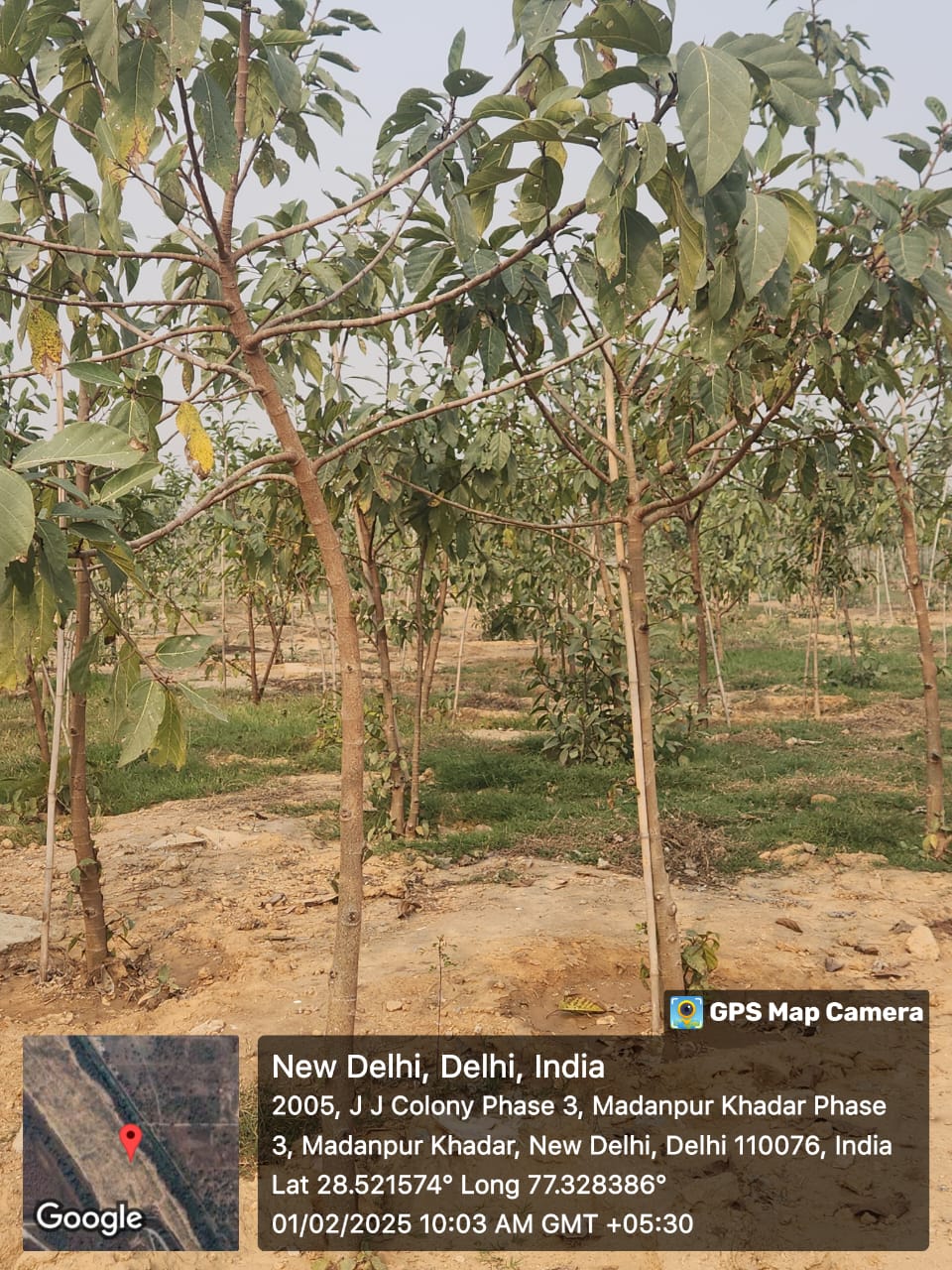 eForest - Department of Forest and Wldlife, GNCTD